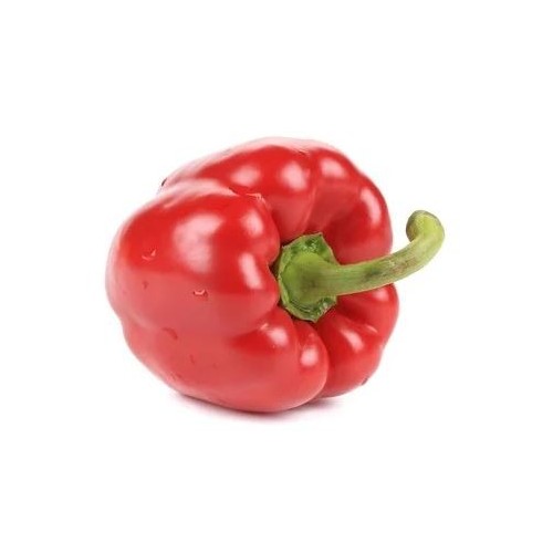 Peperone quadrato rosso bio